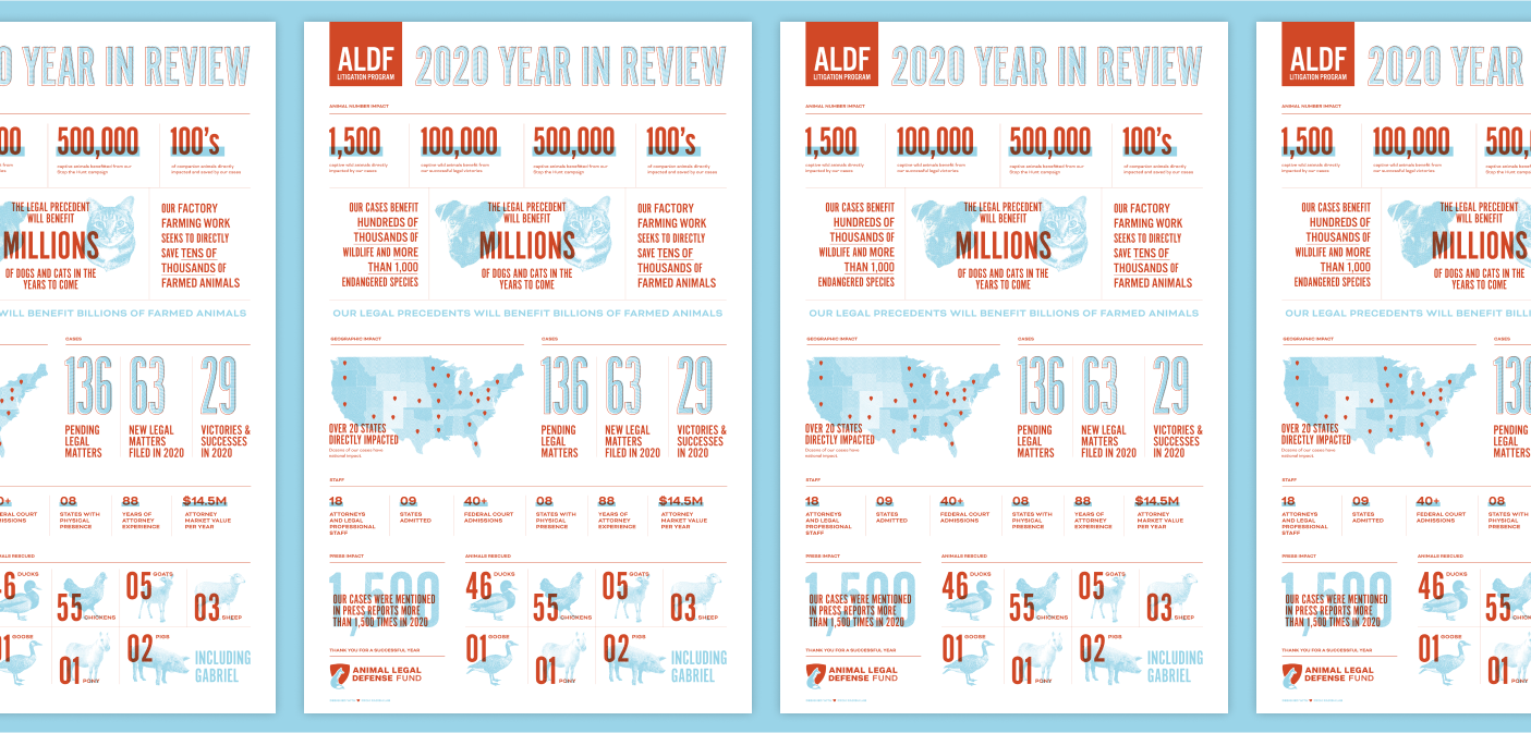 Visualizing the impact of a year of cases for animal welfare - Radish Lab