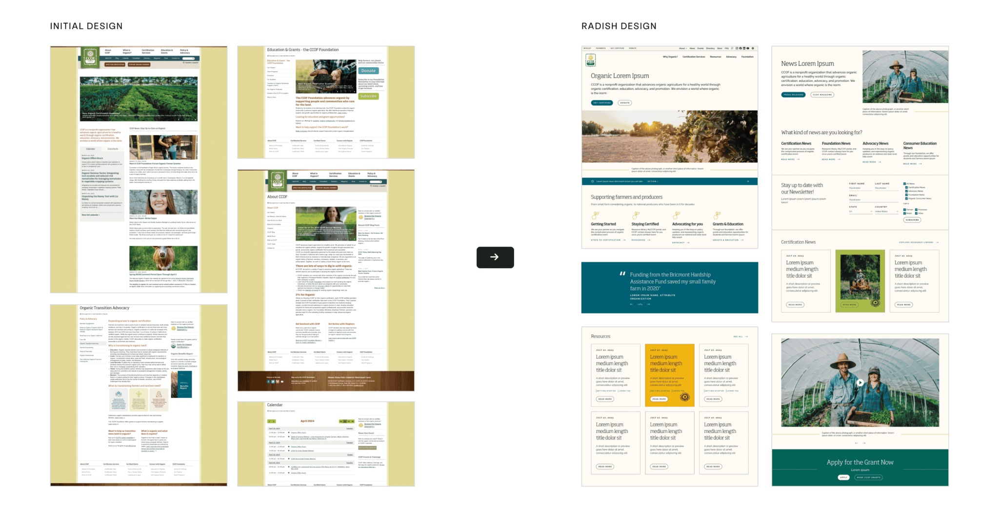 A Large-scale Website - Radish Lab