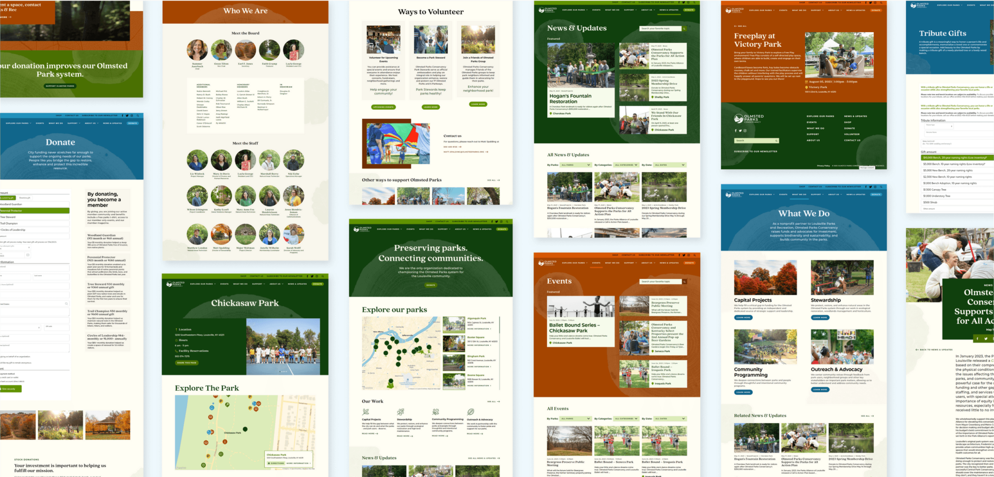 A virtual walk in the park - Radish Lab